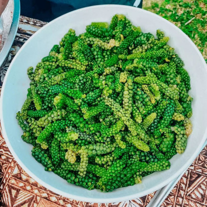 Bula! Experience Food & Drink in Fiji | The Official Travel Site of the ...